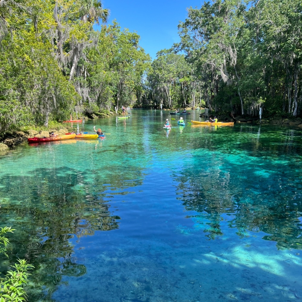 Best Florida holiday? Crystal River brings adventure and manatees